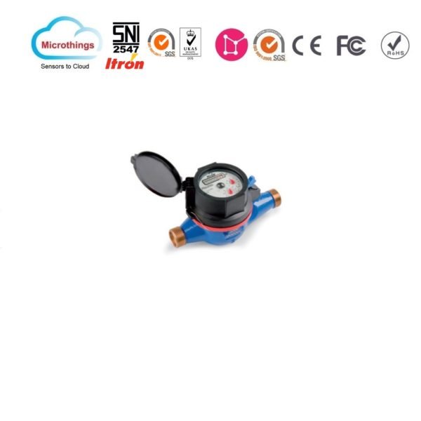 Water Meter Itron - Microthings